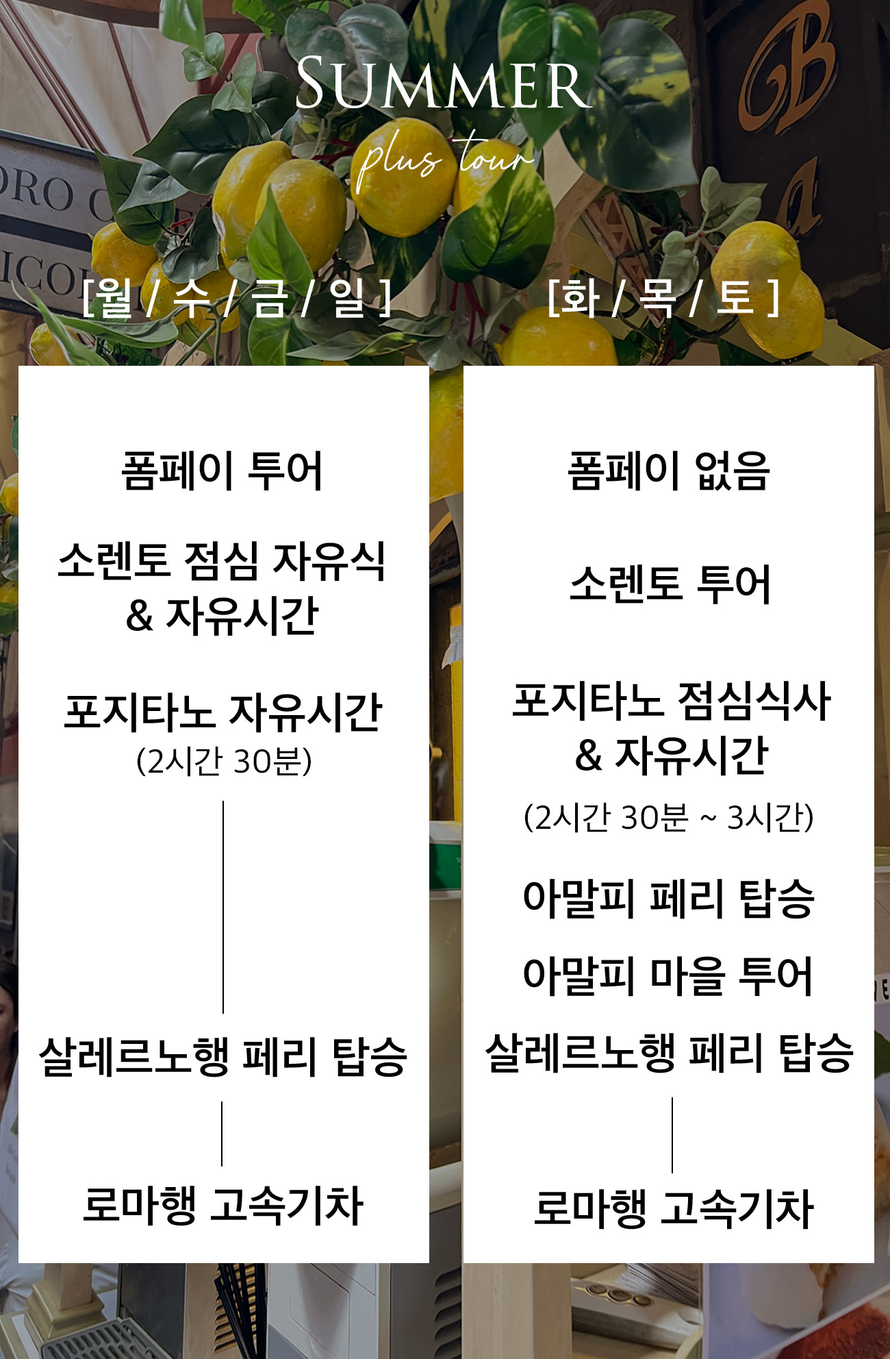 노마드트래블 Nomad Travel