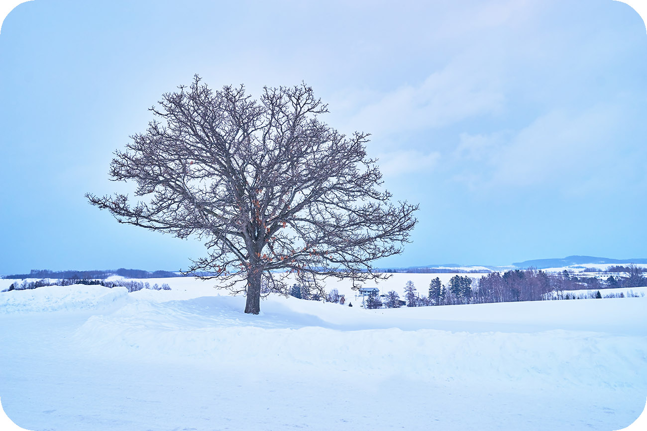 노마드트래블 NOMAD TRAVEL